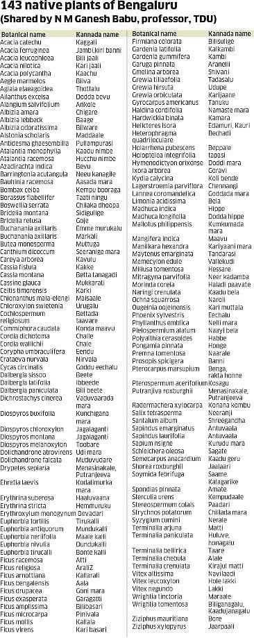Exotic vs native conundrum: What to plant in Bengaluru?