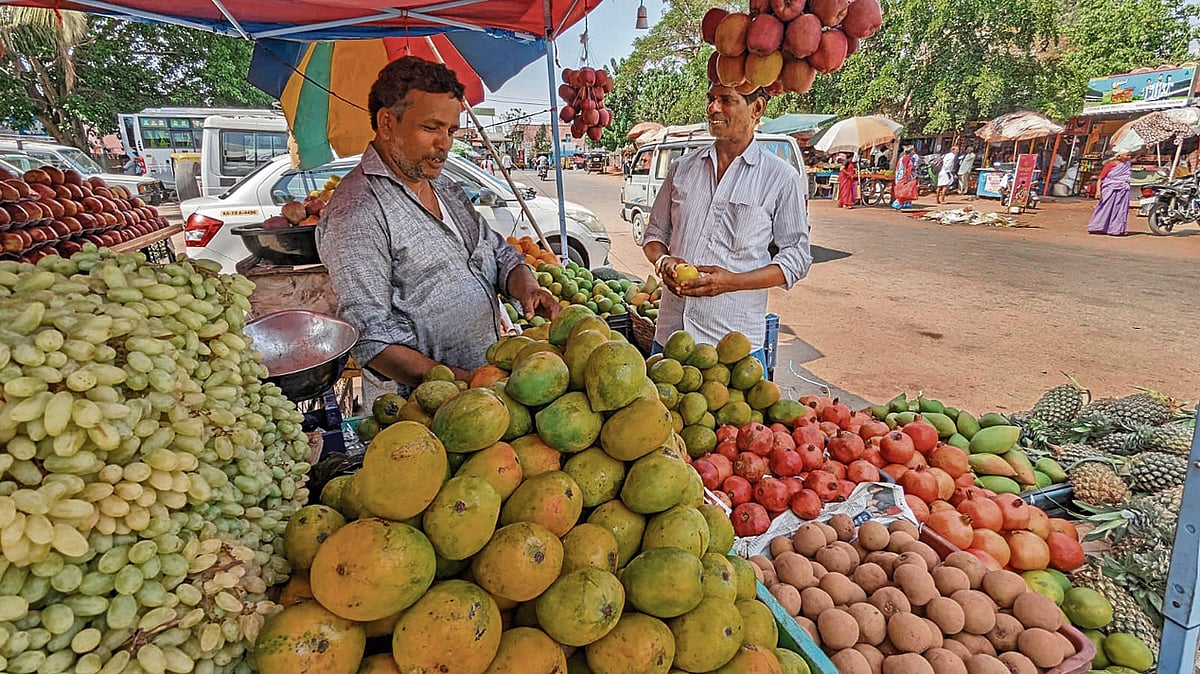 Karnataka news: Summer palaces for the King of fruits