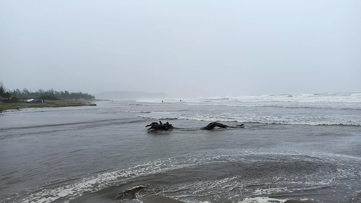 Goa News, Latest Goa News, New Goa News Today and Headlines | Deccan Herald