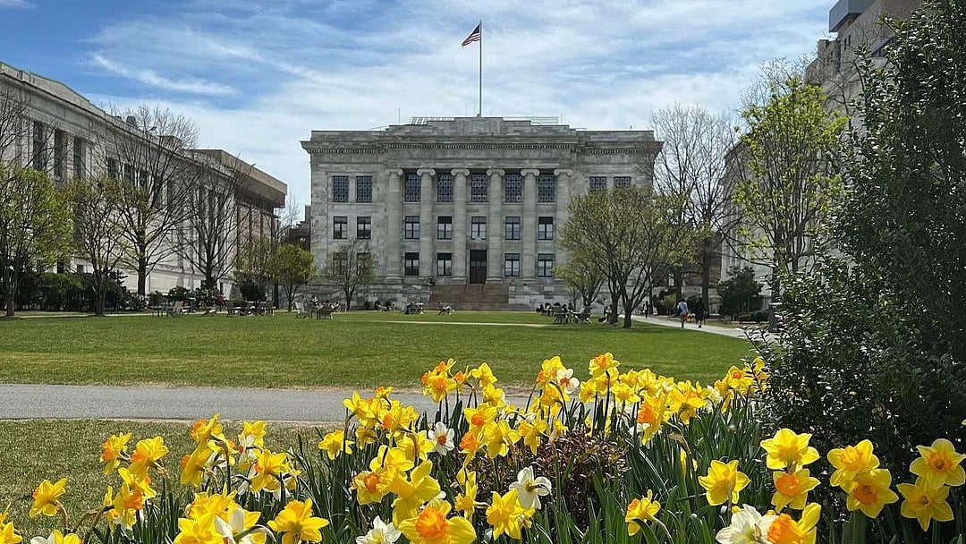 World University Rankings 2024: Check out the top 10 universities