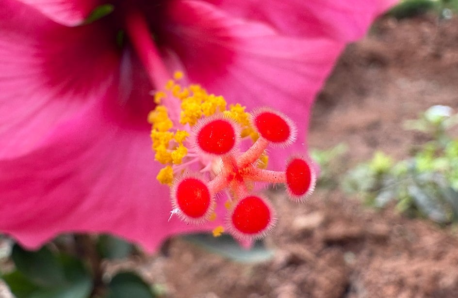 Apple iPhone 16 review: Pretty amazing mobile with meaningful upgrades