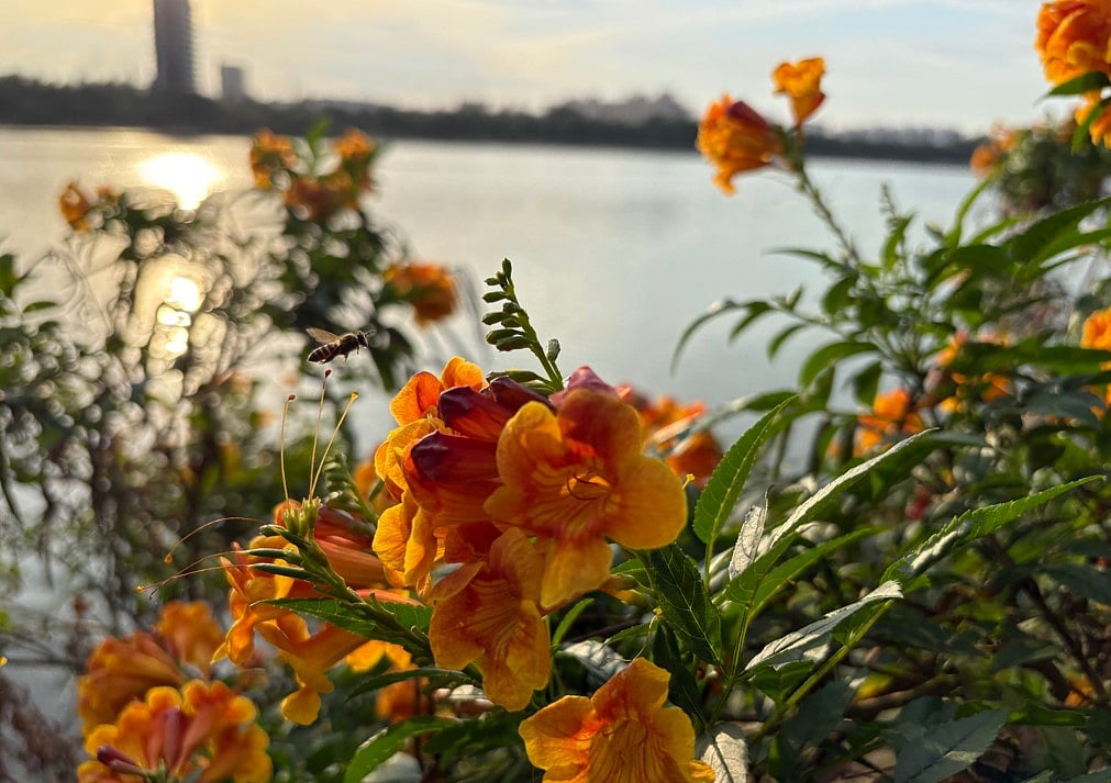 Apple iPhone 16 review: Pretty amazing mobile with meaningful upgrades