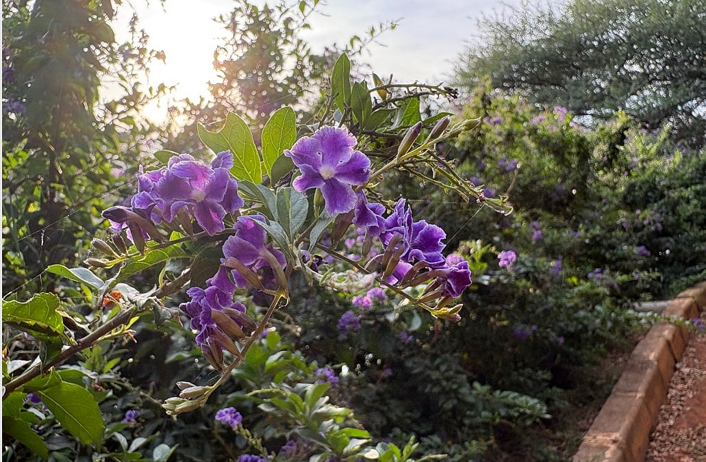 Apple iPhone 16 review: Pretty amazing mobile with meaningful upgrades