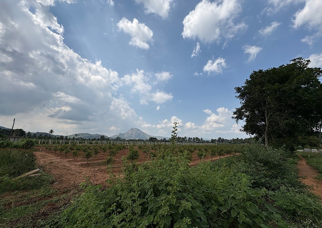 Apple iPhone 16 review: Pretty amazing mobile with meaningful upgrades