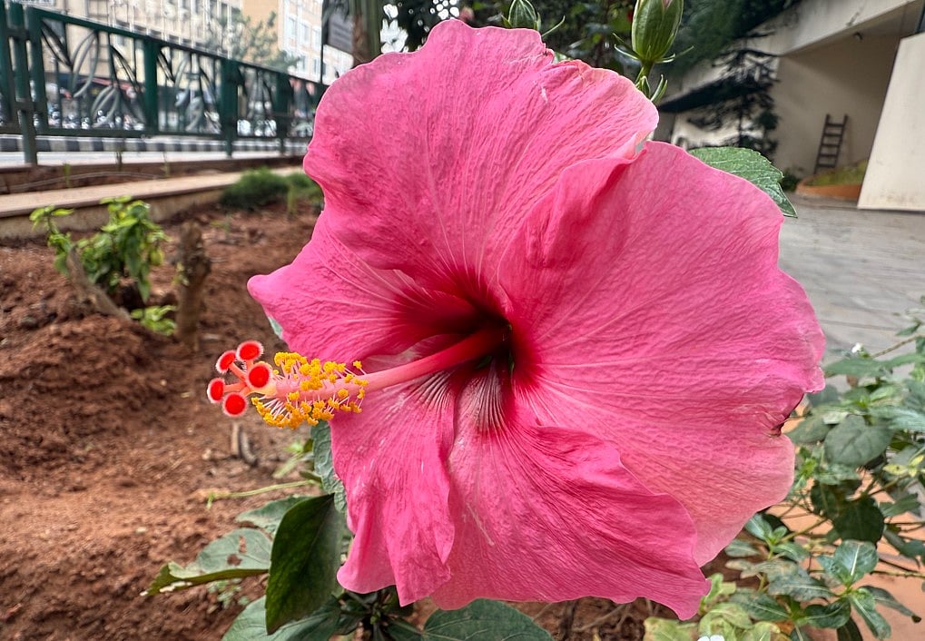 Apple iPhone 16 Pro Max review: Powerful mobile with meaningful upgrades