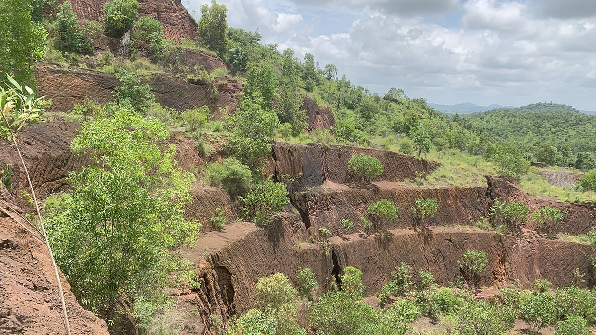 The forgotten trails of Francis Buchanan