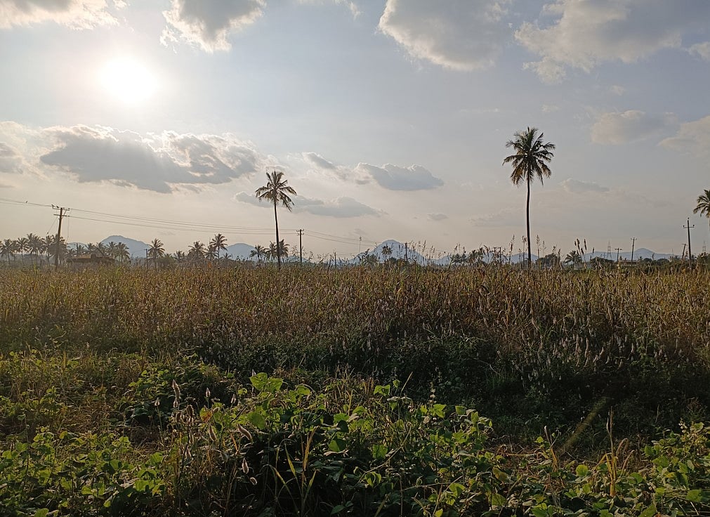 Xiaomi Redmi Note 14 review: Solid all-rounder phone