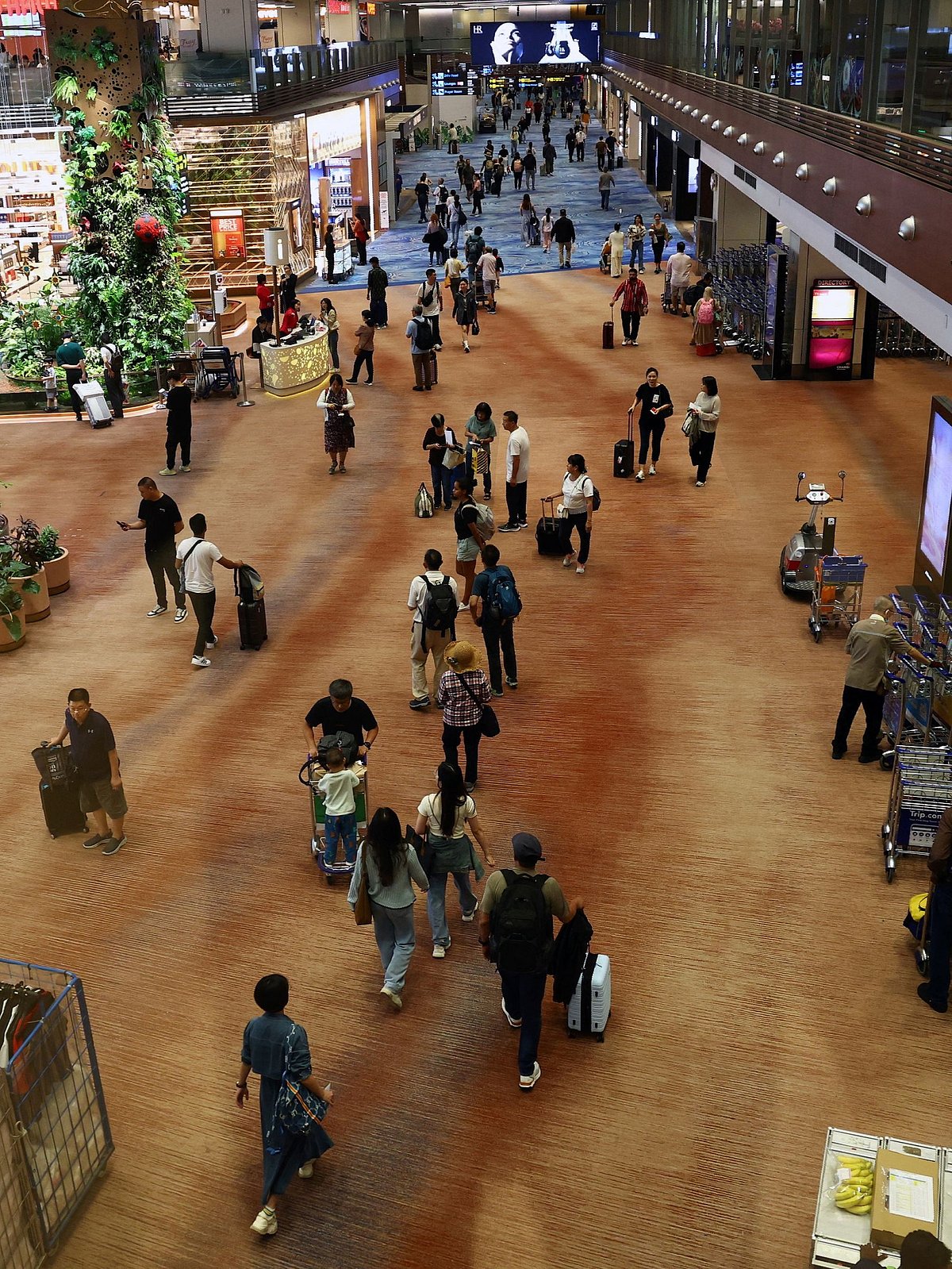 Deccan Herald | Latest News Today: Breaking News and Top Headlines ...