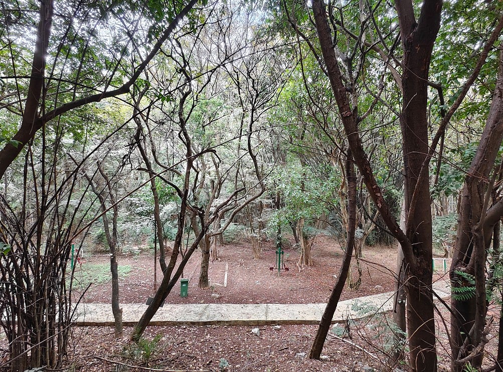 iQOO 13 Review: Cost-effective premium phone