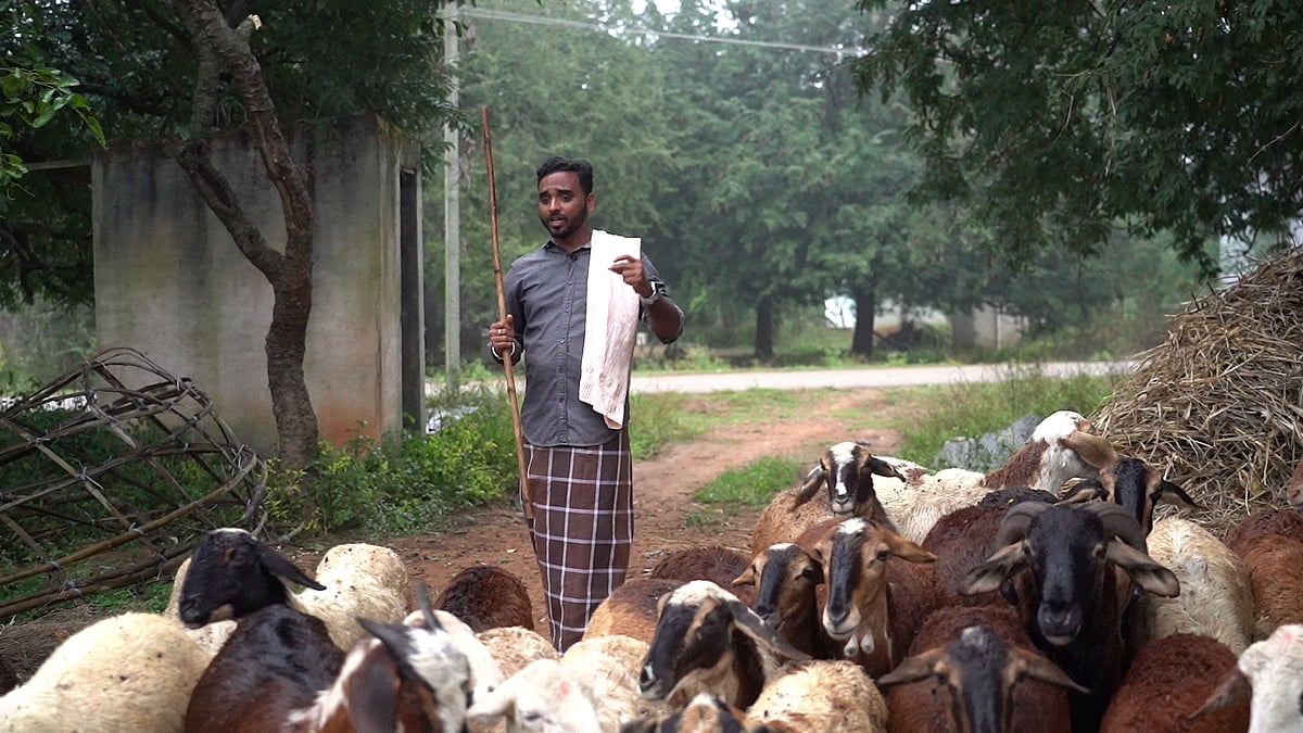 Balladeer of the Kadu Gollas