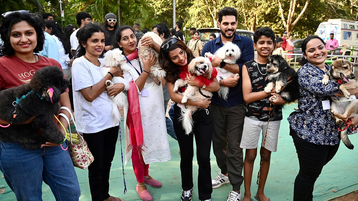 Cynophiles flock dog show in Mangaluru