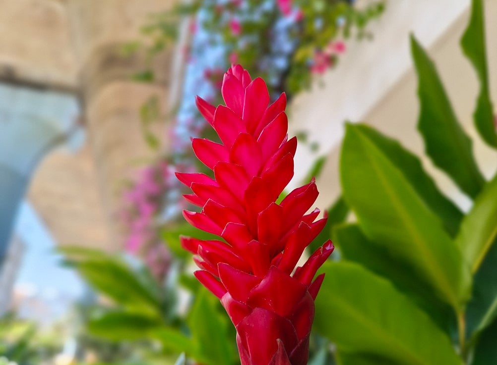 Poco X7 Pro review: Solid performer with long-lasting battery