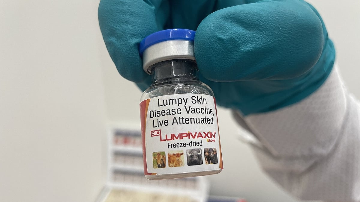 Lumpy skin disease vaccine developed by Bharat Biotech's Biovet gets ...