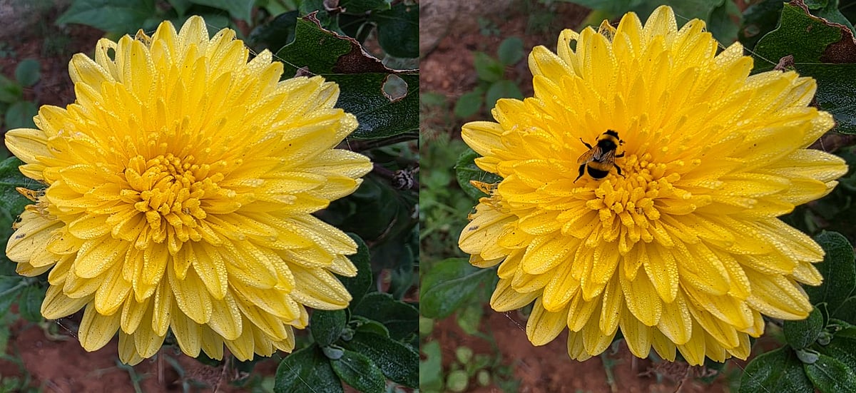 Samsung Galaxy S25 Ultra review: Versatile AI phone