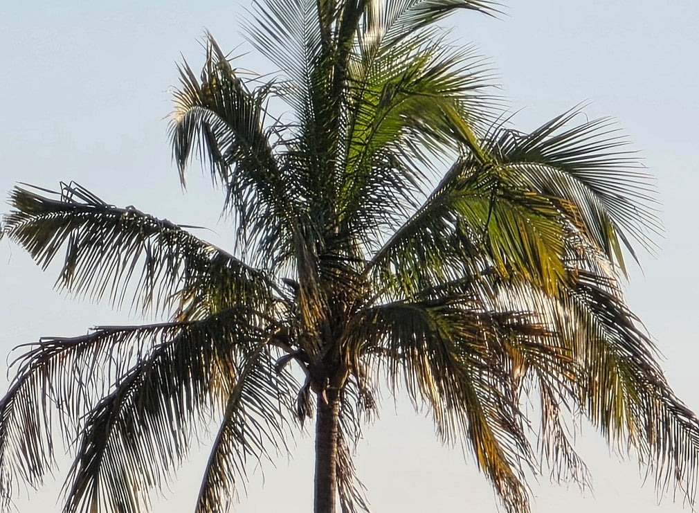 Samsung Galaxy S25 Ultra review: Versatile AI phone