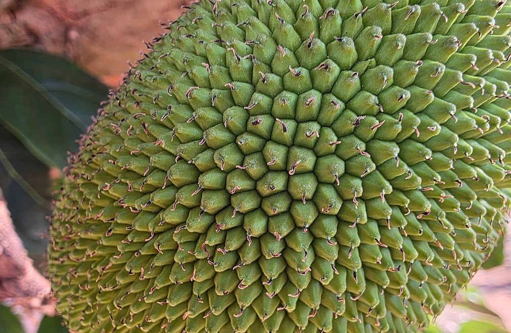 Samsung Galaxy S25 Ultra review: Versatile AI phone