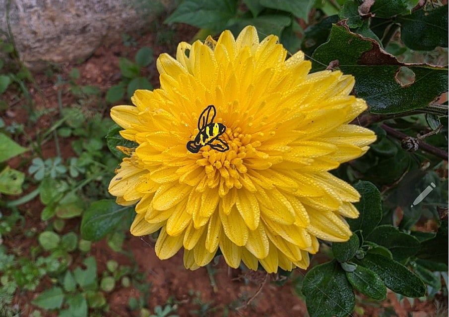 Samsung Galaxy S25 Ultra review: Versatile AI phone