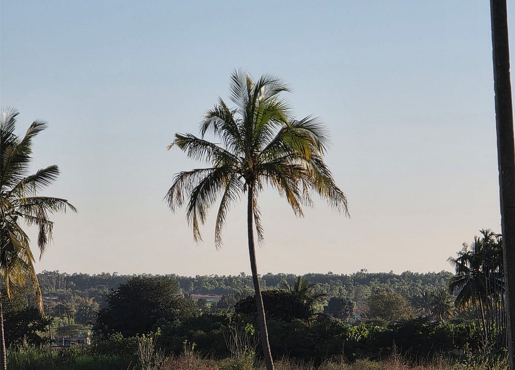 Samsung Galaxy S25 Ultra review: Versatile AI phone