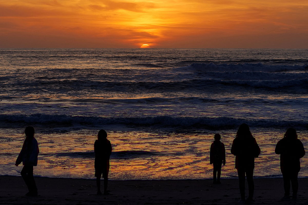 News in Pics | February 20, 2025: Best photos from around the world