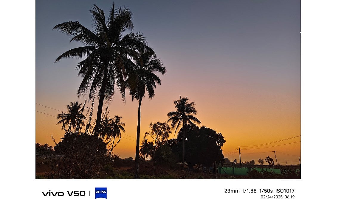 Vivo V50 review: Stylish phone with really good camera