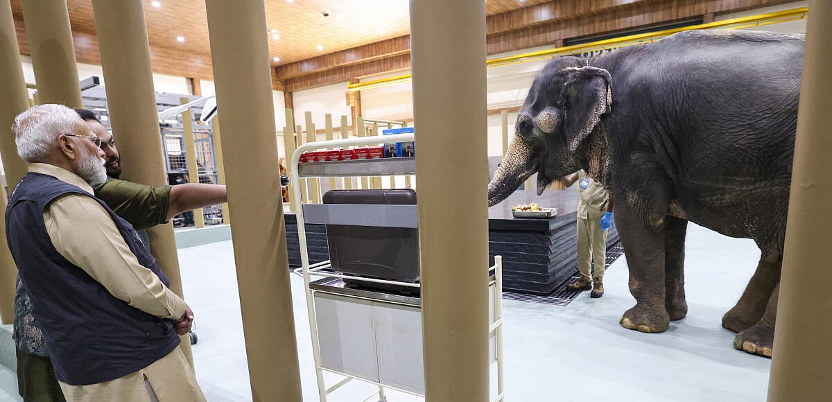 Anant Ambani Vantara: PM Modi inaugurates Vantara | PM Modi in Vantara news