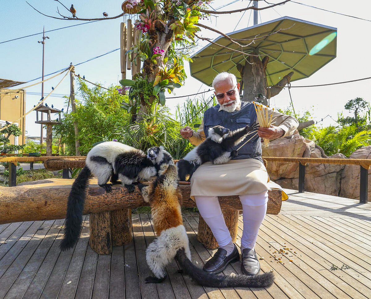 Anant Ambani Vantara: PM Modi inaugurates Vantara | PM Modi in Vantara news