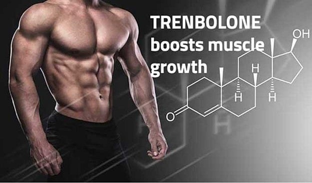Trenbolone Steroid 2025 - Best Legal Tren for Sale Online USA Buying Guide
