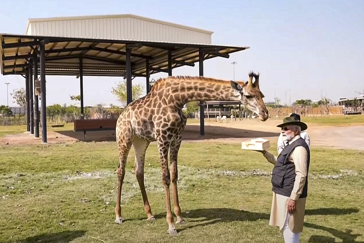 Anant Ambani Vantara: PM Modi inaugurates Vantara | PM Modi in Vantara news