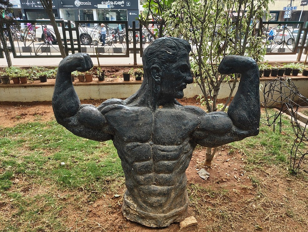 Nothing Phone (3a) Pro review: Feature-rich phone with cool design