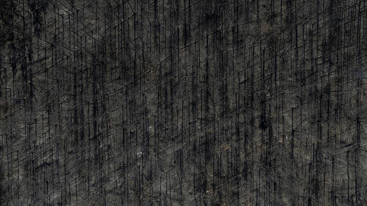 News in Pics | March 21, 2025: Best photos from around the world