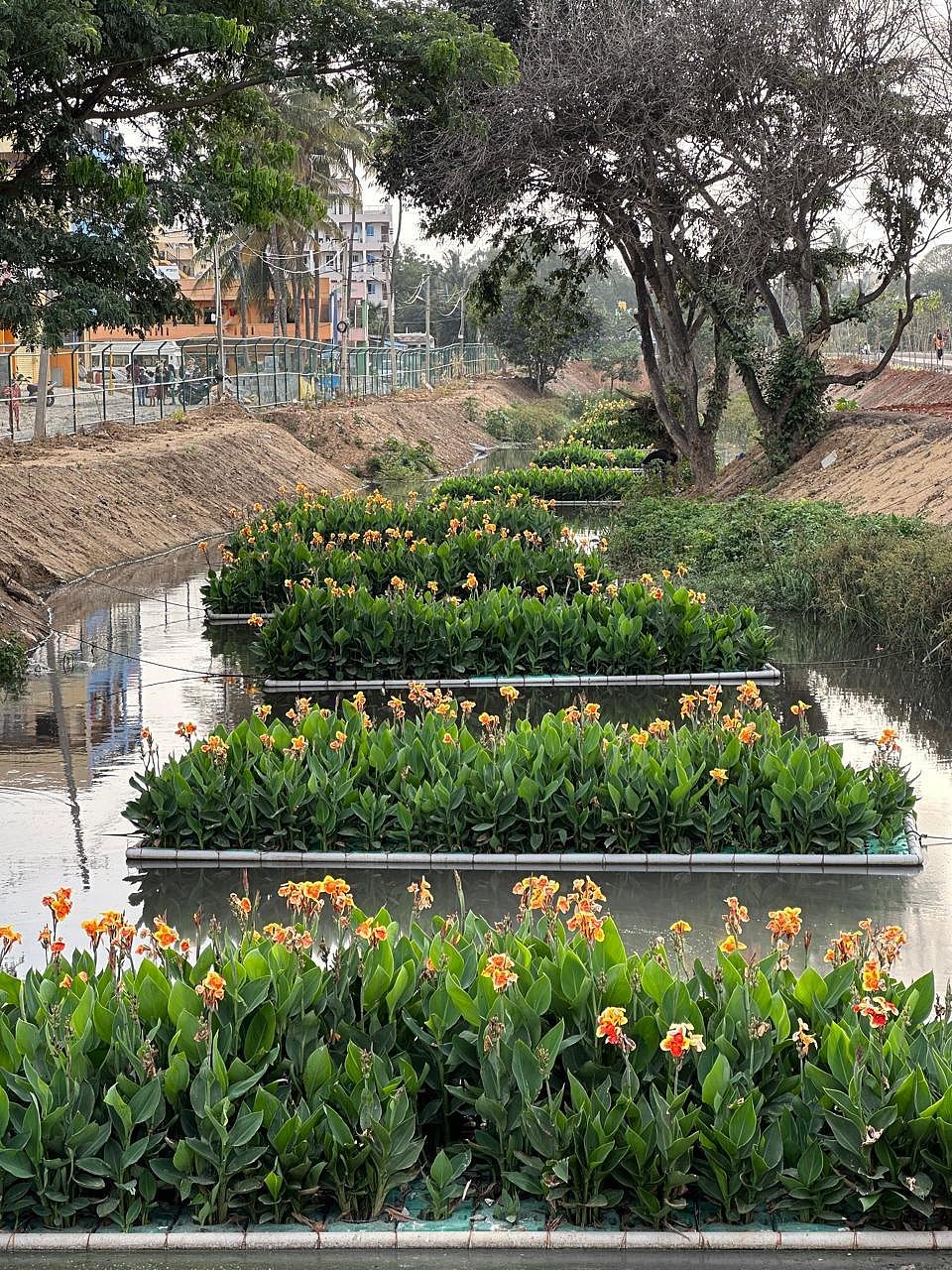 Floating Gardens to Breathe New Life into Lalbagh Lake in Bengaluru