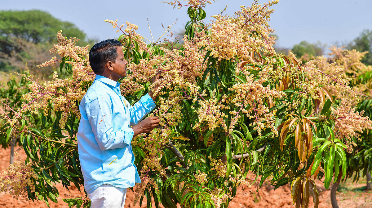 Top Spectrum News: Spectrum News Today, Spectrum Latest News and ...