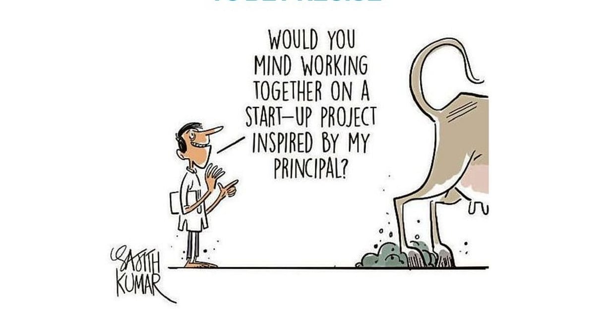 DH Toon | Start-up project
