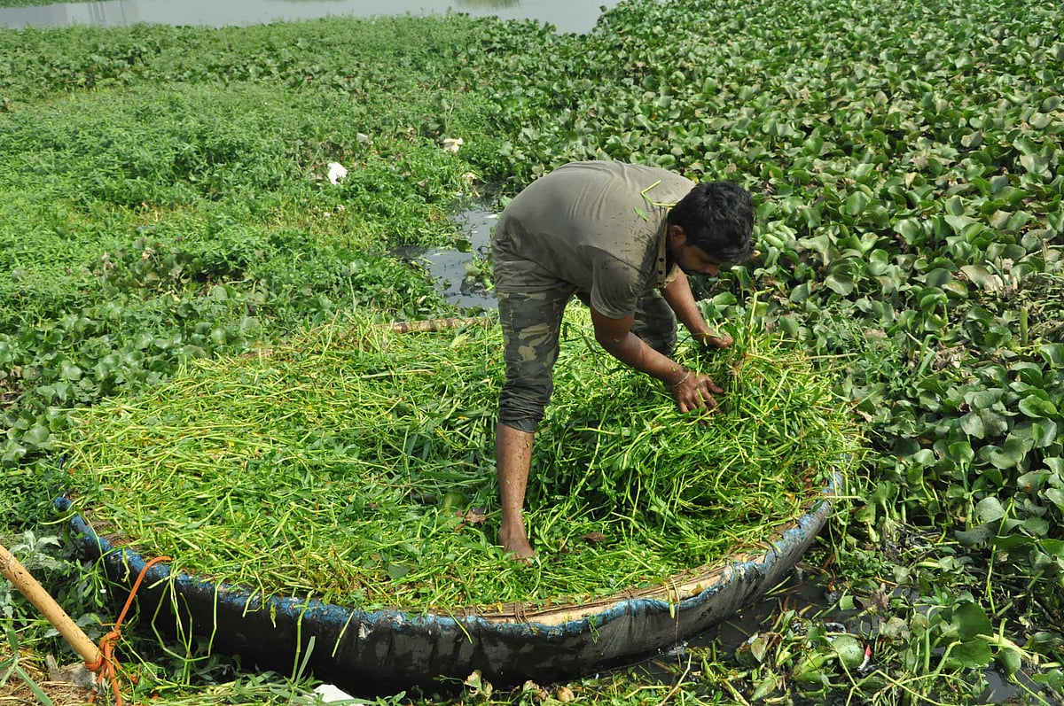When it rains, the Varthur lake starts frothing within two days.