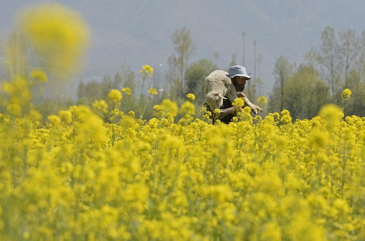 The beauty of Kashmir