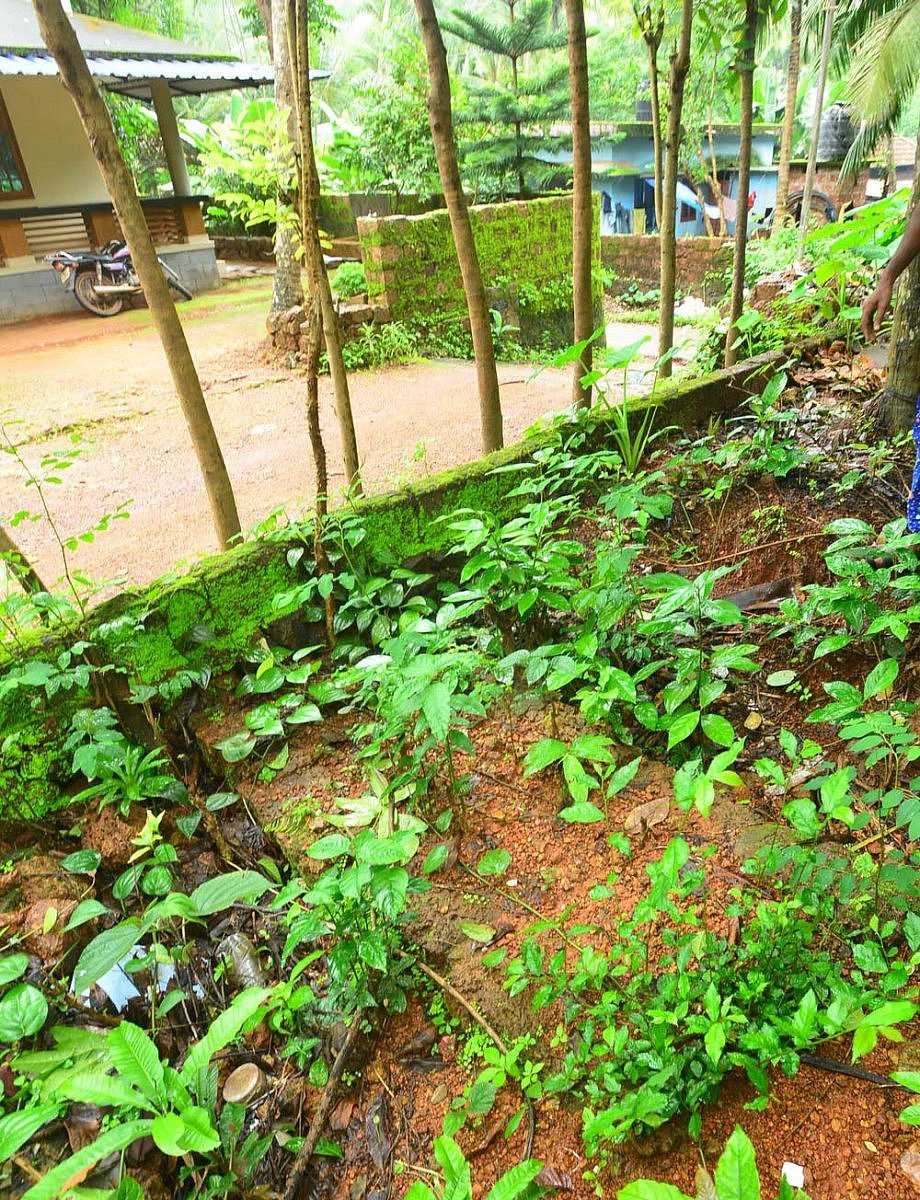 After 97 years, a forgotten British massacre uncovered