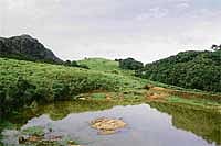 Taking the path less trodden