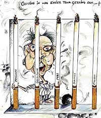 Budding cartoonists imbibe basics