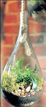 Making your own ecosystem