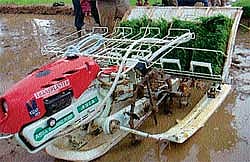 Paddy transplanter a boon for farmers