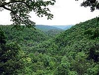 Eco-tourism in Joida