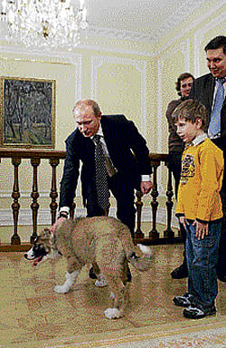 Boy names Putin's new puppy 'Buffy'