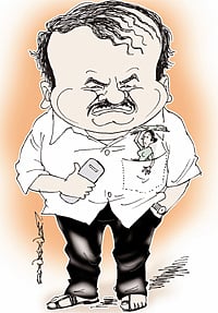 What an idea, sirji!