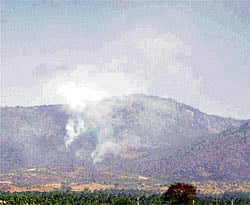 Fire destroys flora and fauna