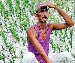 Parched people pin hopes on budget