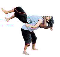 A spellbinding acrobatic display