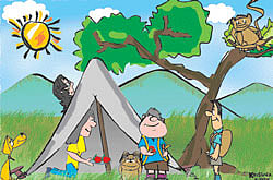 Simmering down in summer