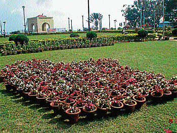 Raja Seat to flaunt its flowers from May 6