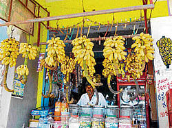 Nanjangud banana on slippery ground