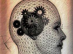 The grey matter: Human brains 'get smaller with age'